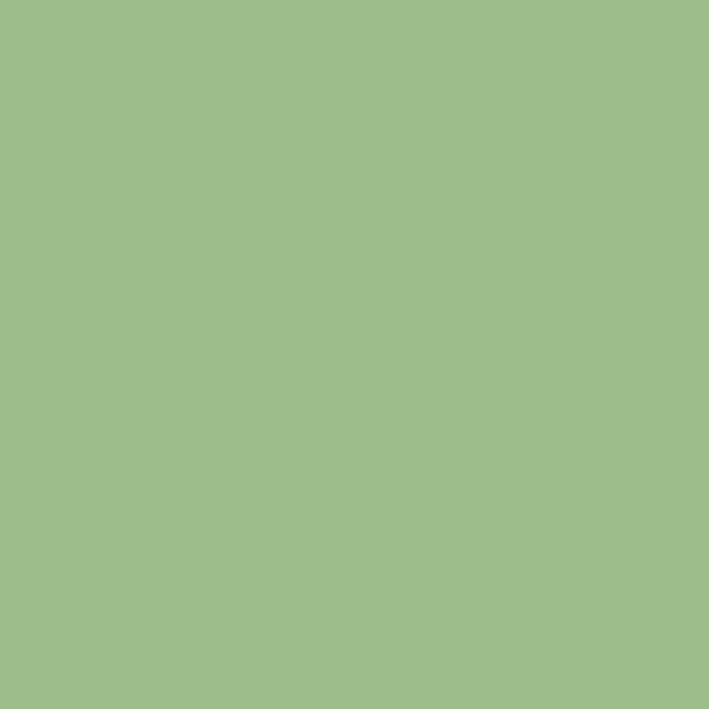 Tilda 110 Solid Color Fern Green Jan 2019 Marienhoff